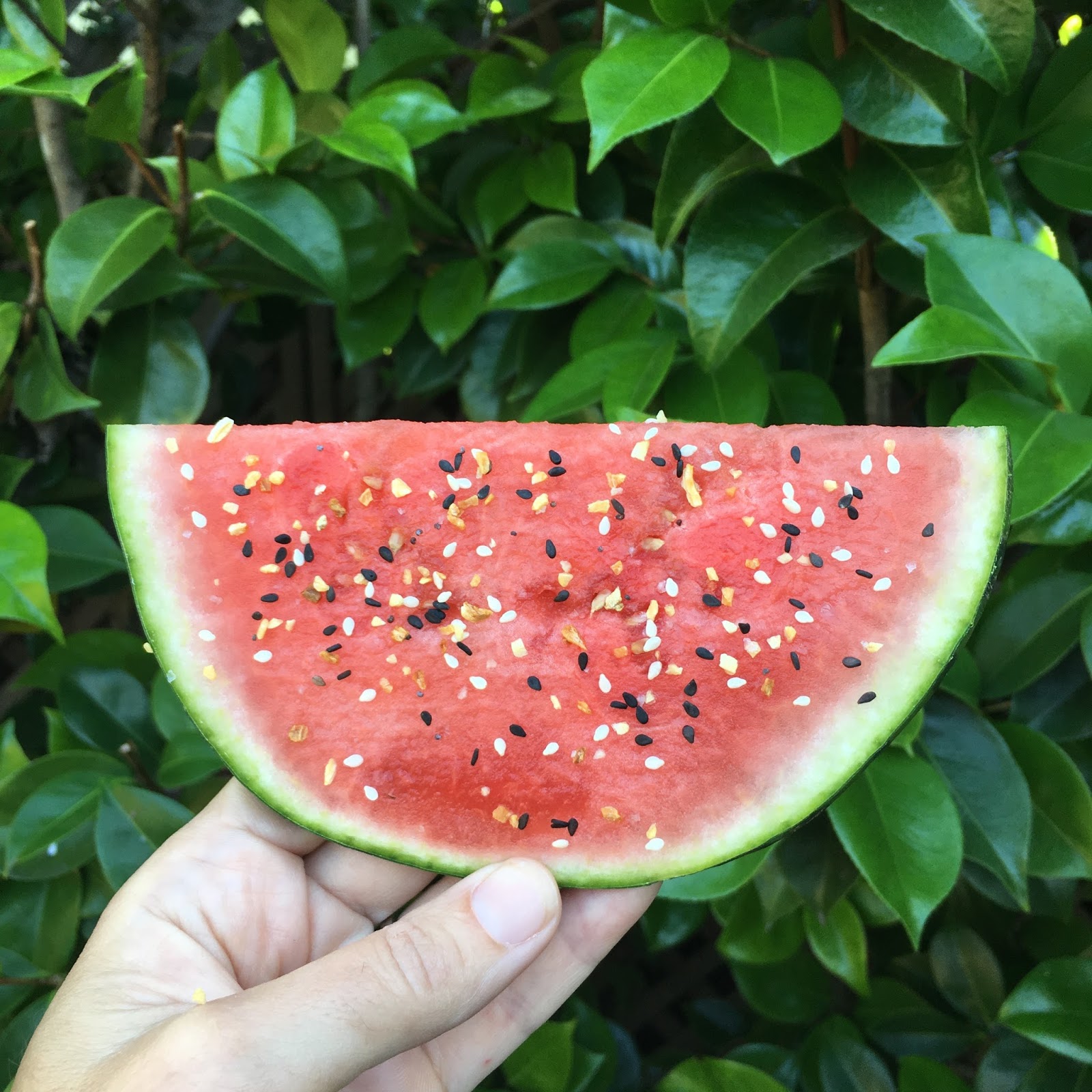 Jac o' lyn Murphy: 5 more ways to use Everything but the Bagel