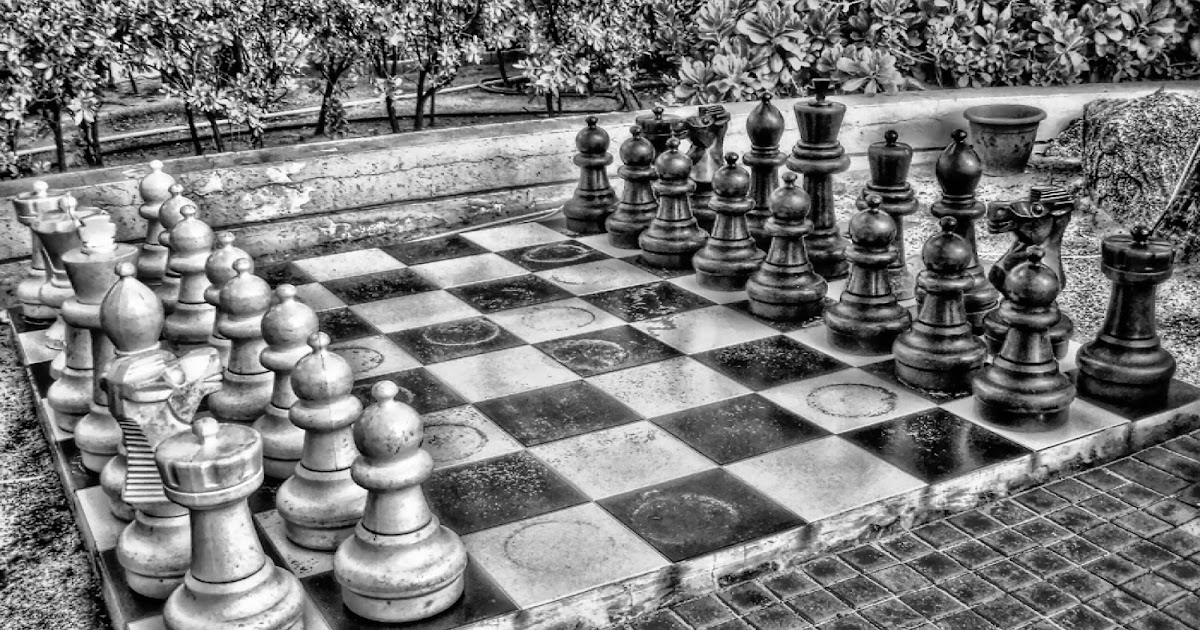 charu gandhi: Chess