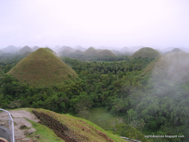 Sights and Spices: Sights: Beautiful BOHOL
