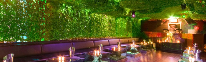 Greenhouse - New York Club. | Night Clubs