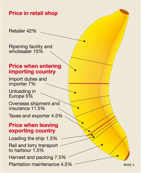 My Two Cents: Price of Bananas