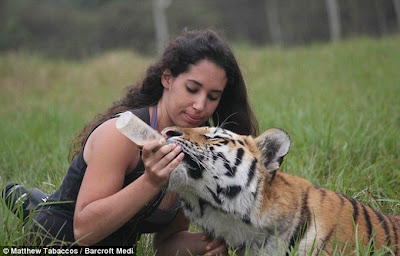 WELCOME TO ANIMAL PLANET 09: Or Lazmi: Beauty who lives with the beasts