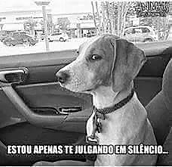 Meme "Julgando em Silêncio" ~ ZapZap da Zoeira