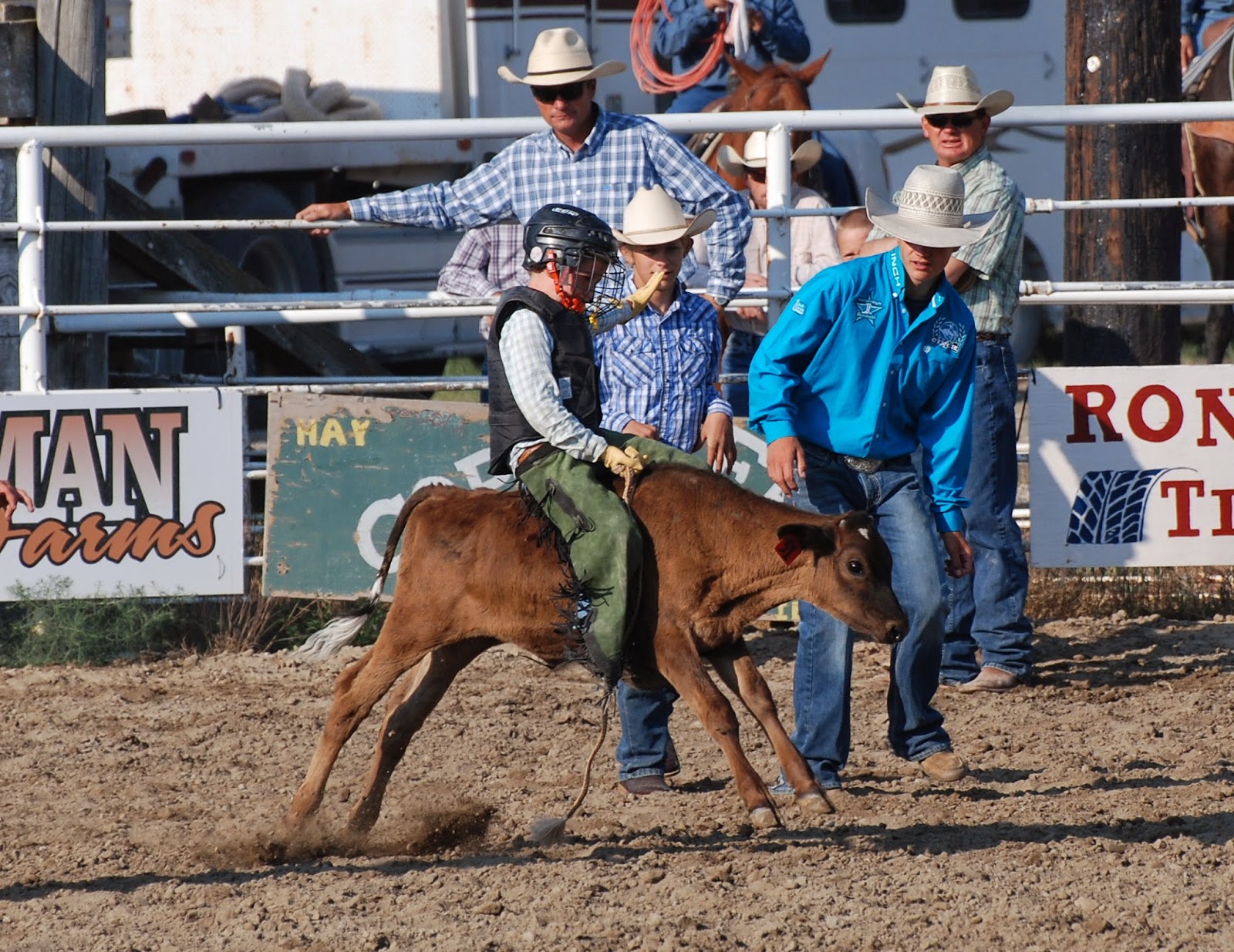 Life & Lessons from a country road