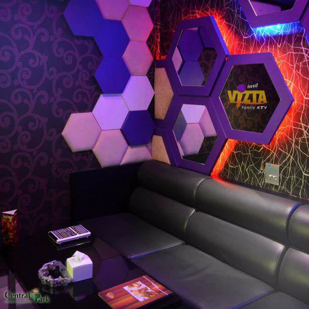 Inul Vizta Central Park - Inul Vizta Blog