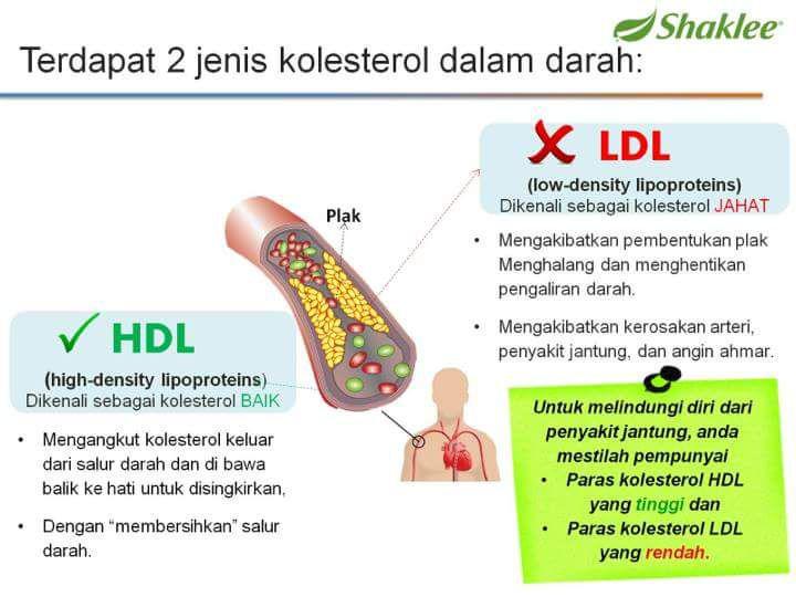 Cegah Kolesterol di Musim Raya Korban