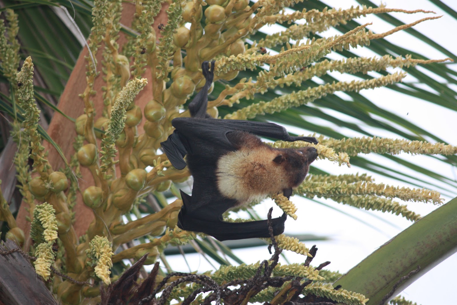 Sean's New Zealand Adventure