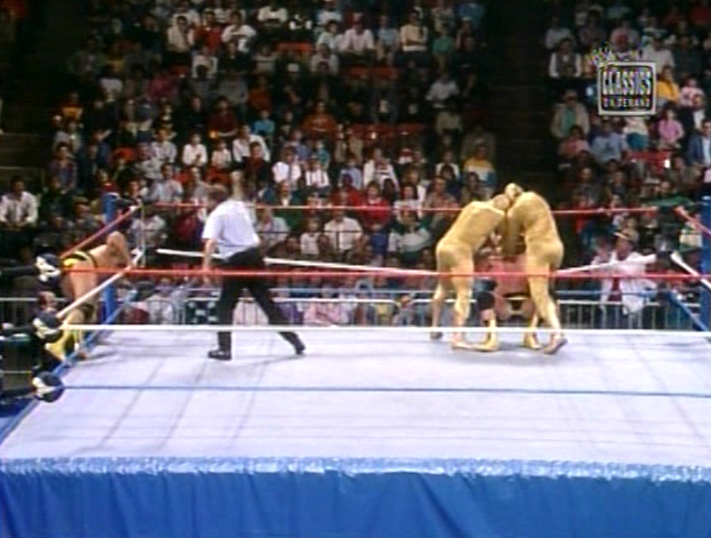 Steve's Graps: WWF Primetime-March 21,1988