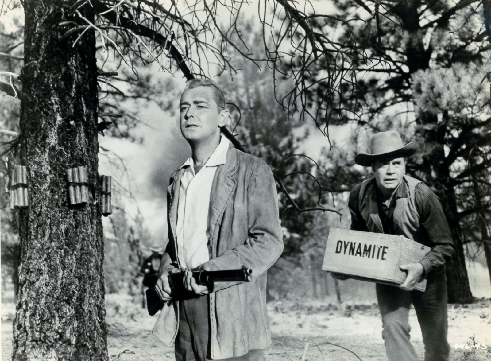 Greenbriar Picture Shows: Ladd's Last For Warner Release