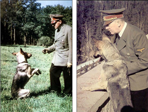 Una velada con Vela: Los perros de Hitler
