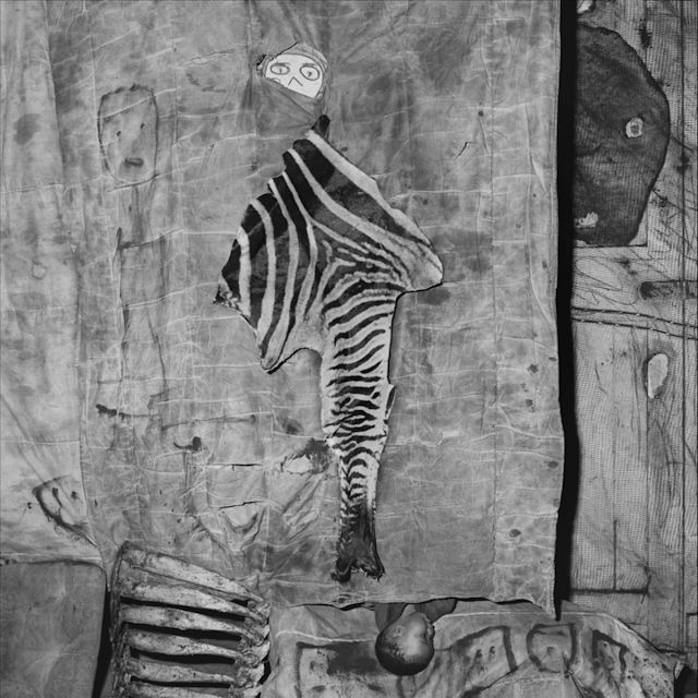 Anthony Luke's not-just-another-photoblog Blog: Photographer Profile ...