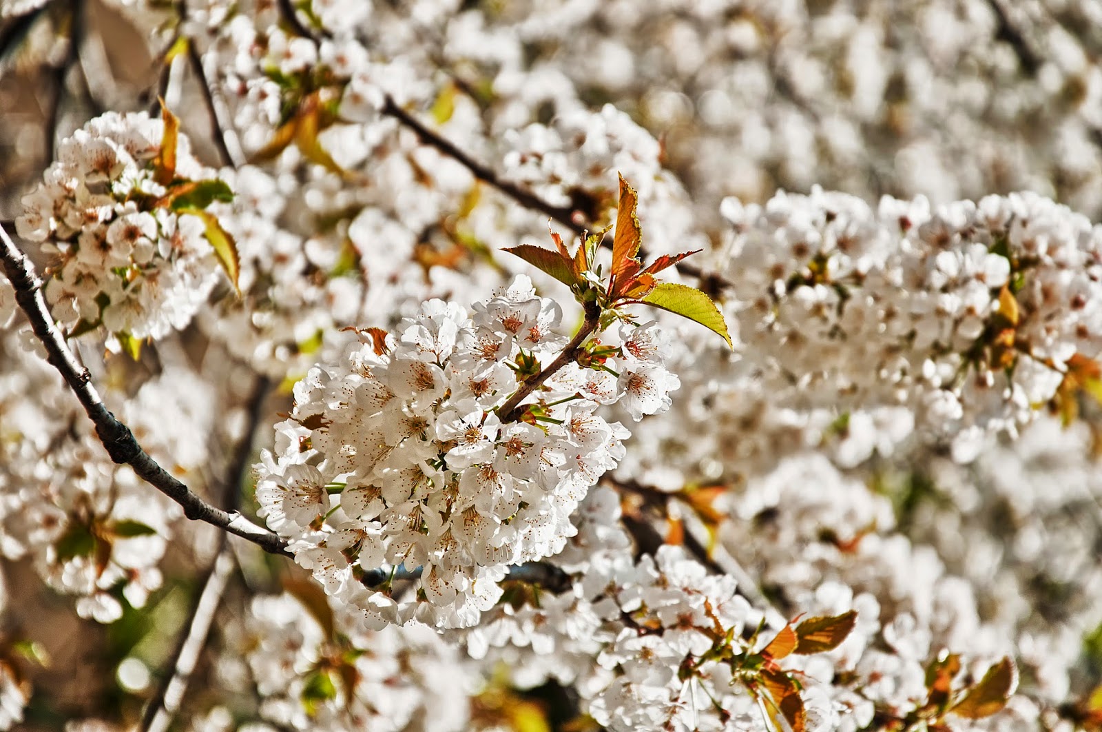 Torino In My eyes: April 2015