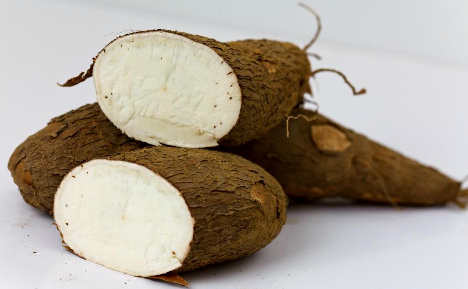 Susan's Savour-It!: Three-Ingredient Cassava Cake...