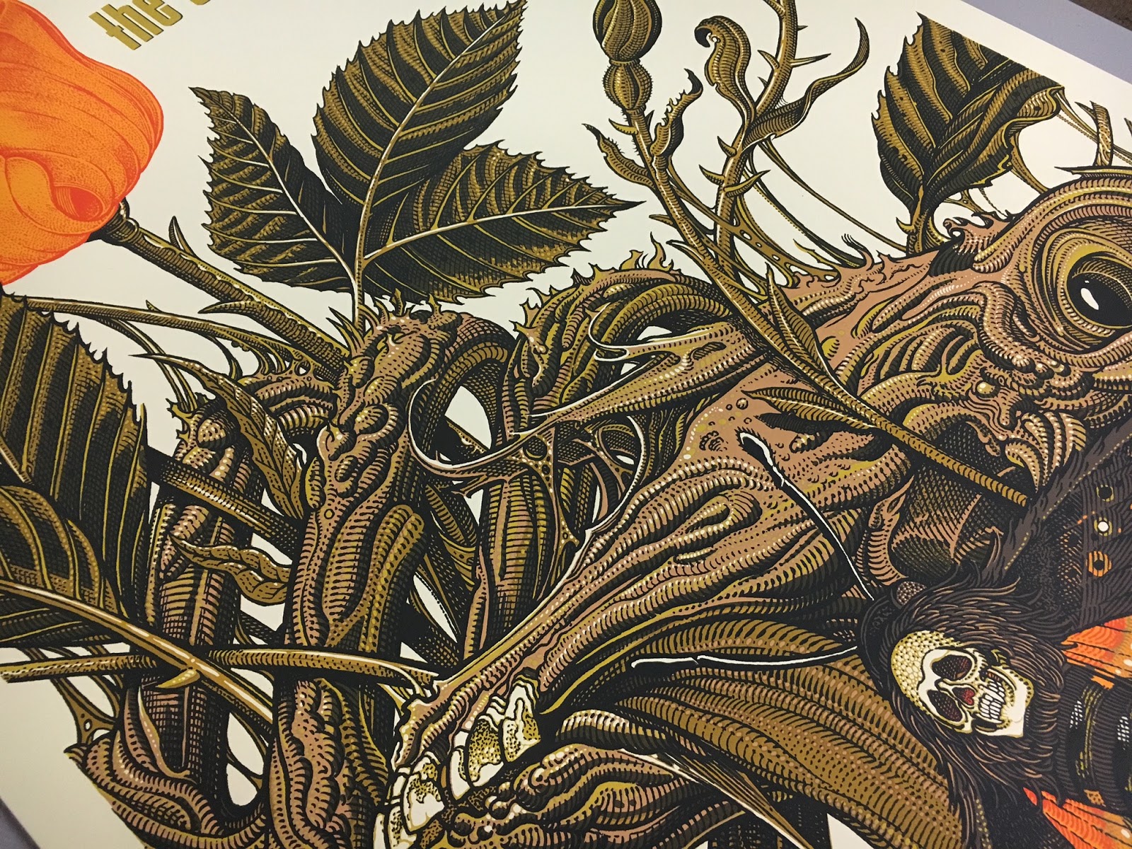 Florian Bertmer Wallpaper