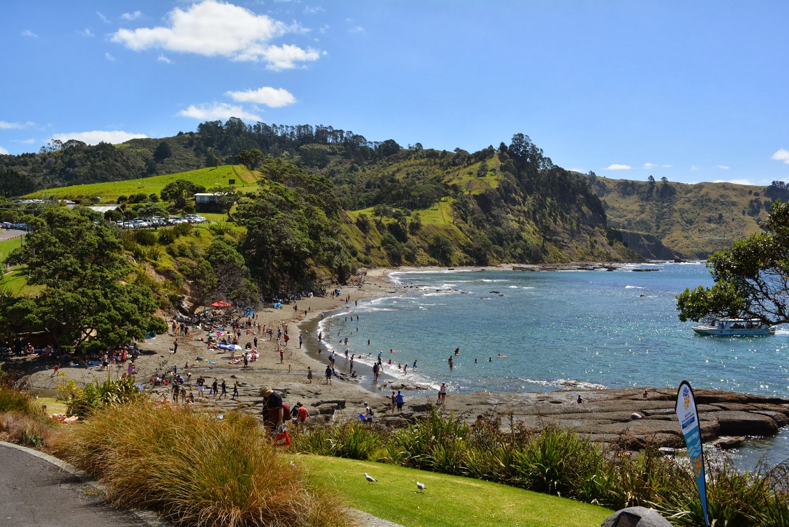 New Zealand Study Abroad: 31 December 2013: Goat Island Discovery ...