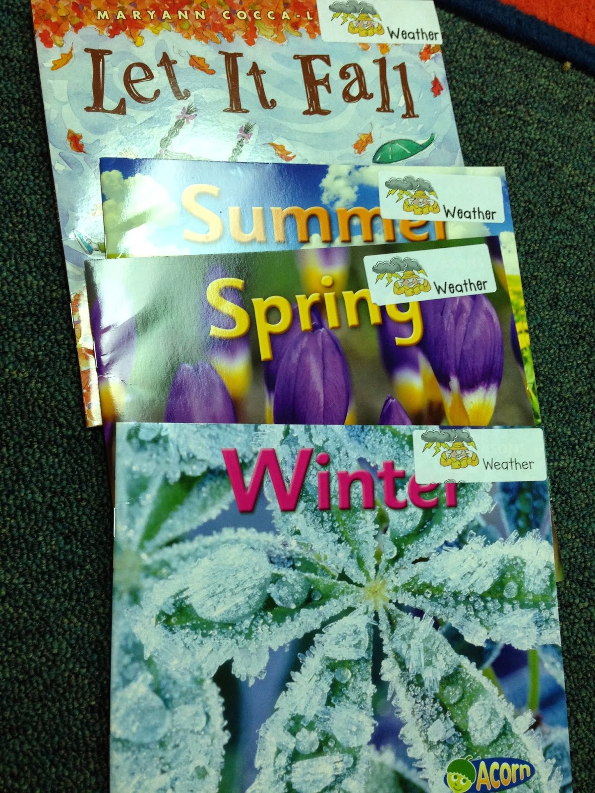 The Adventures of a K/1 Teacher: Wacky Weather Fun!