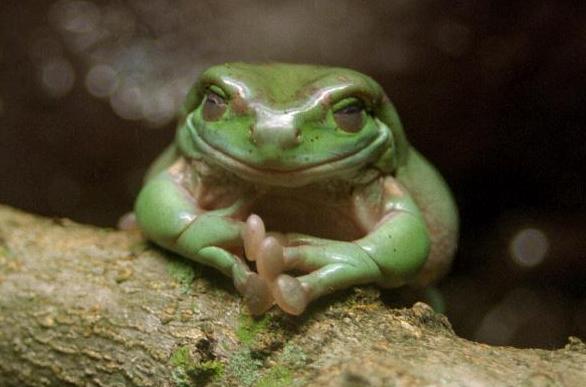 La Senda del Bardo: julio 2011