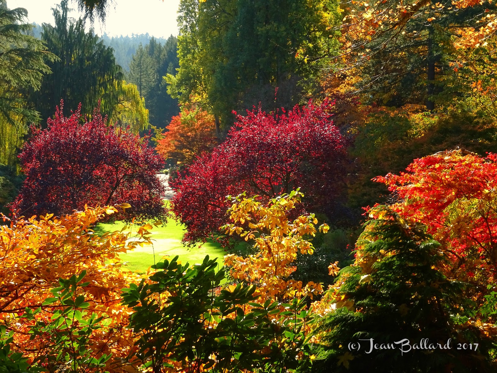 Butchart Gardens Fall Colors