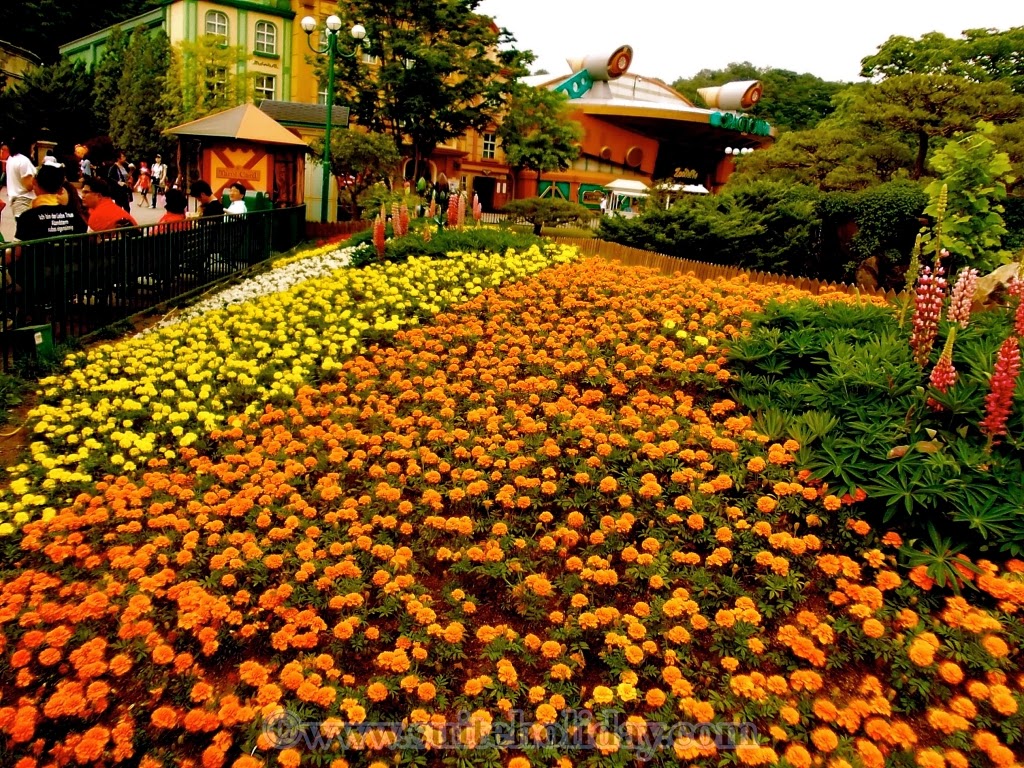 Intifada Travel & Tours Sdn Bhd: Jom melancong ke Korea