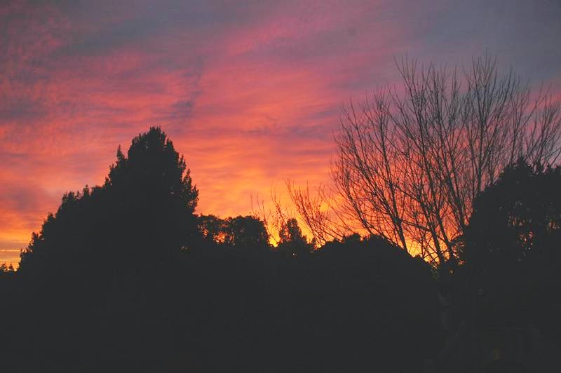 The Nature of Robertson: Soft sunset over Robertson