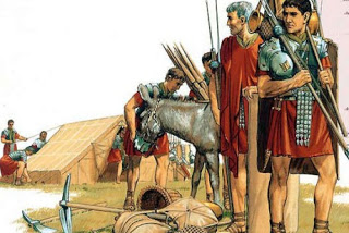 Del blocao a la trinchera: ¿QUÉ ES UN CONTUBERNIO?