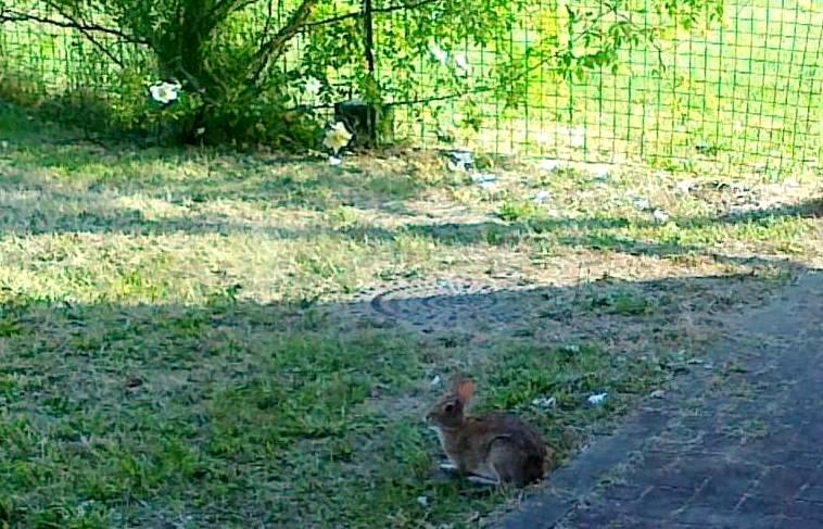 Enrica Signora G: luglio 2013