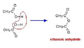 ORGANIC CHEMISTRY II: REAKSI PEMBUATAN AMIDA DARI ANHIDRIDA ASAM