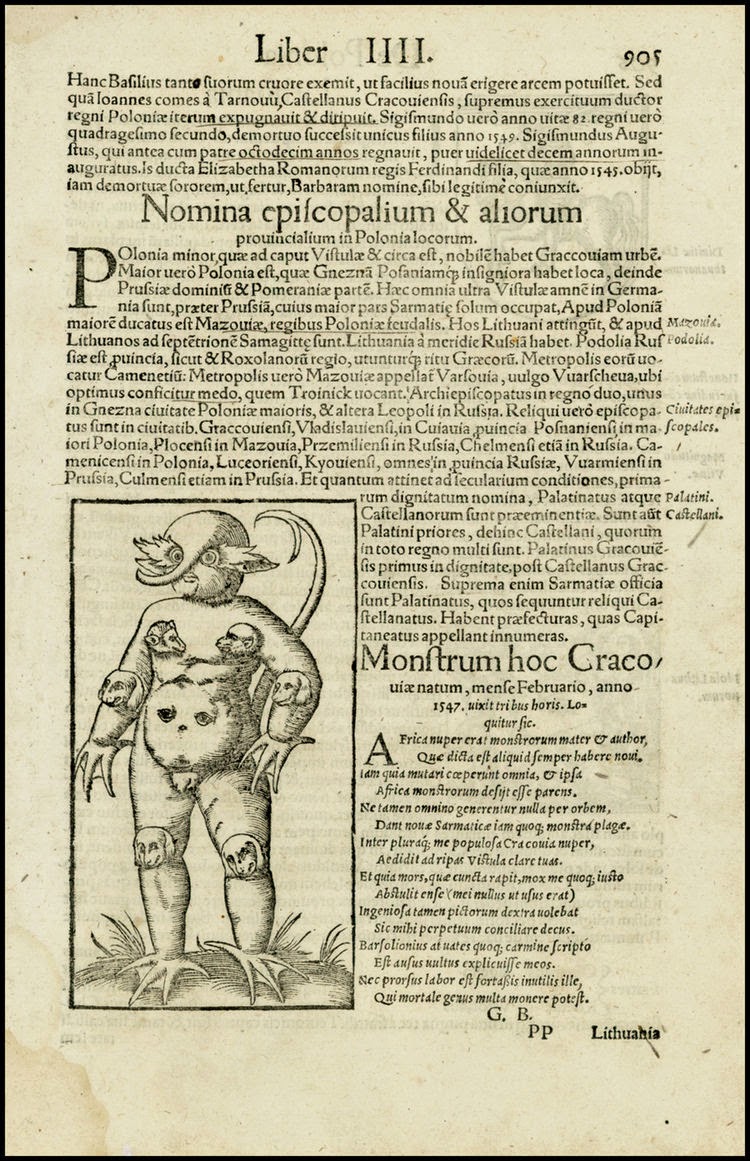 seeming verb: the krakow monster, accessories, and rule 9