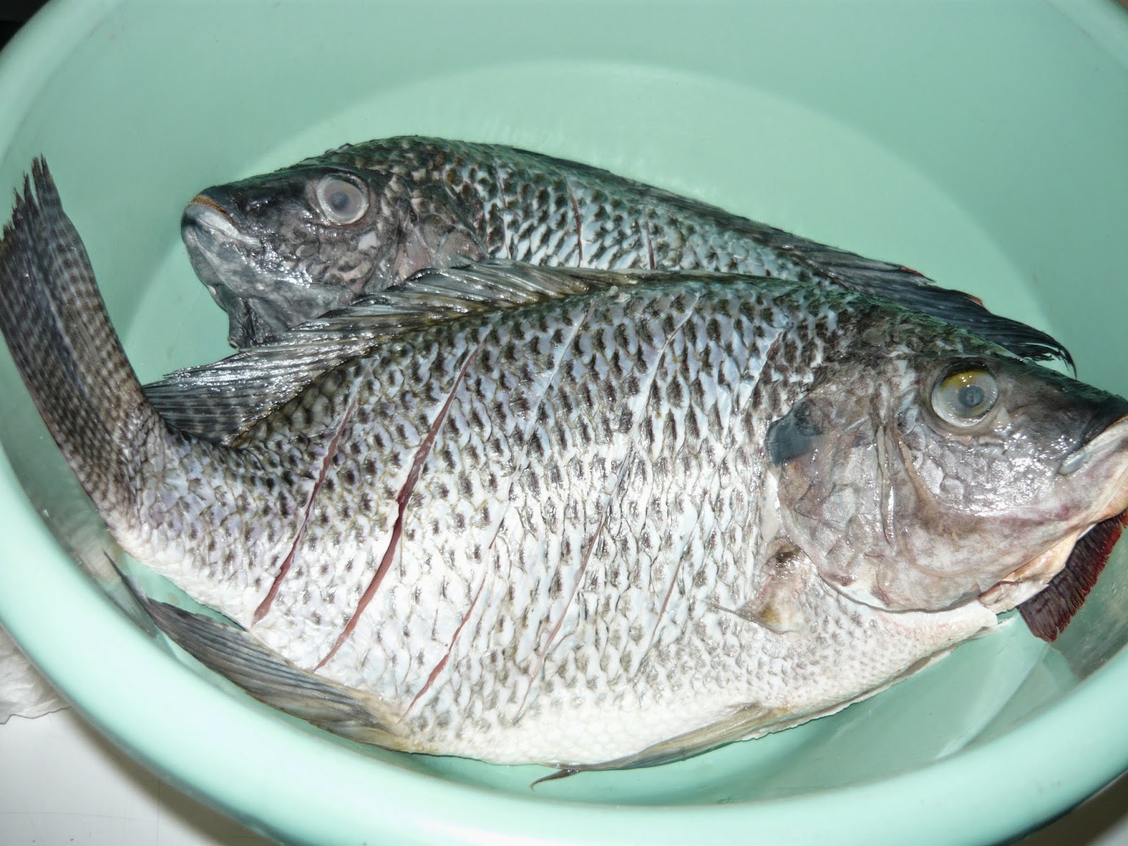 RECETA DE LA MOJARRA FRITA | ~Honey home~