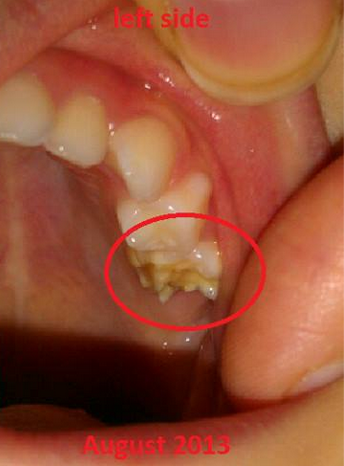 Faith, Family & Fitness: The story behind our INSANELY strict diet and ...