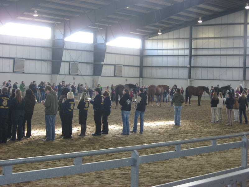 4R Ranch: Horse Judging