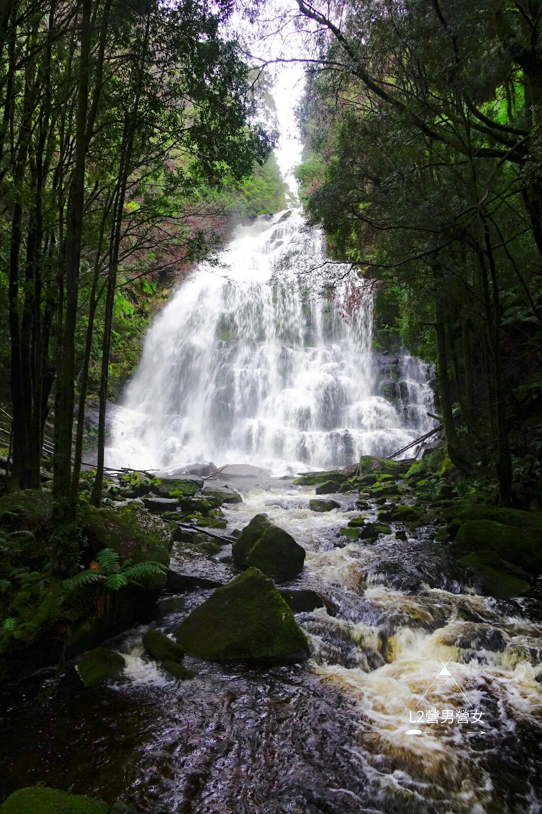 Tasmania Nelson Falls 【只需20分鐘就見到林中的瀑布】(附National Park Pass 介紹)