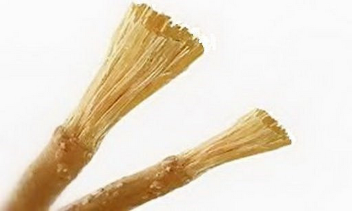 MENGENAL ASAL -USUL SIWAK | PINGIN TAHU