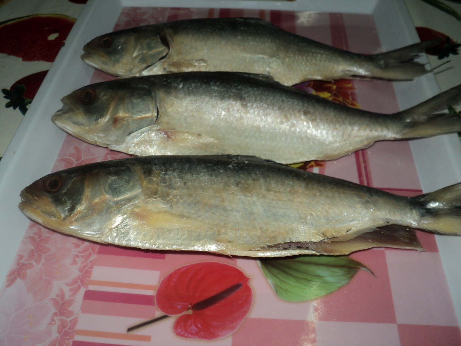 IKAN TERUBOK SARAWAK