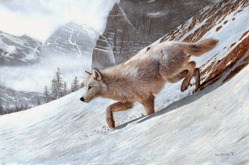 D.W.C. Animals Life - Painter Kevin Daniel - DANCE WITH COLORS