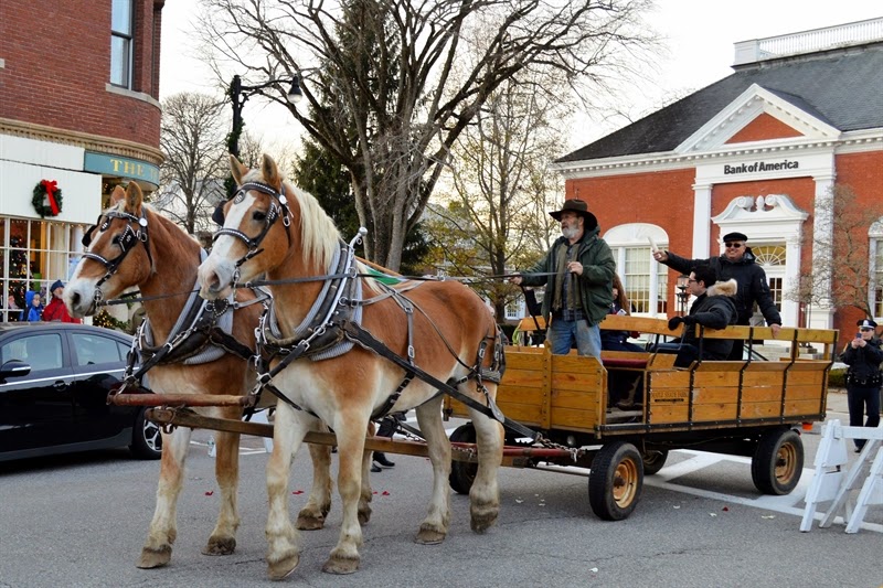 Capadia Designs: Crucolo Cheese Parade in Concord