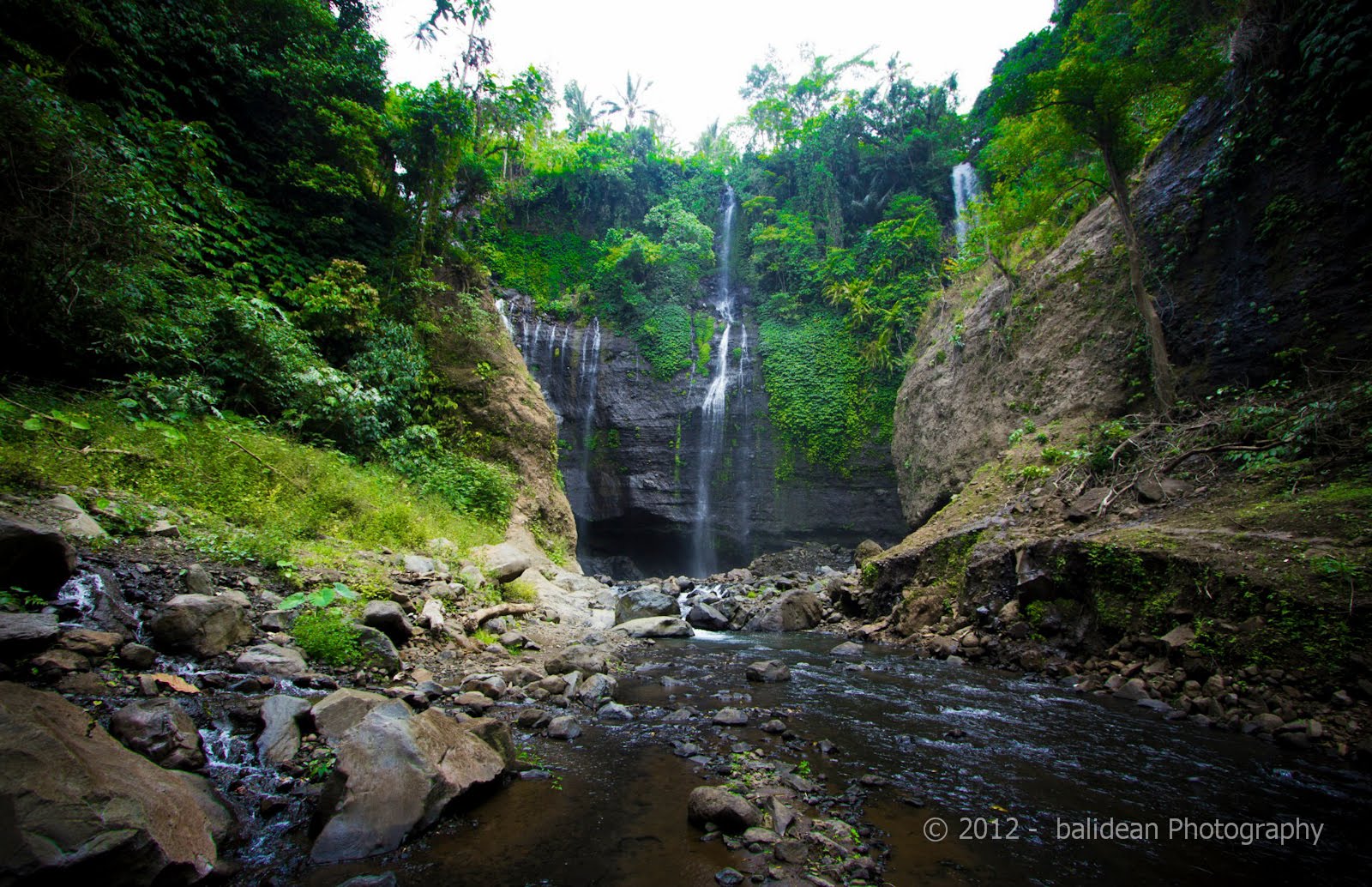 Bali Nature Adventure & Safari Photography: Nature & Aventure