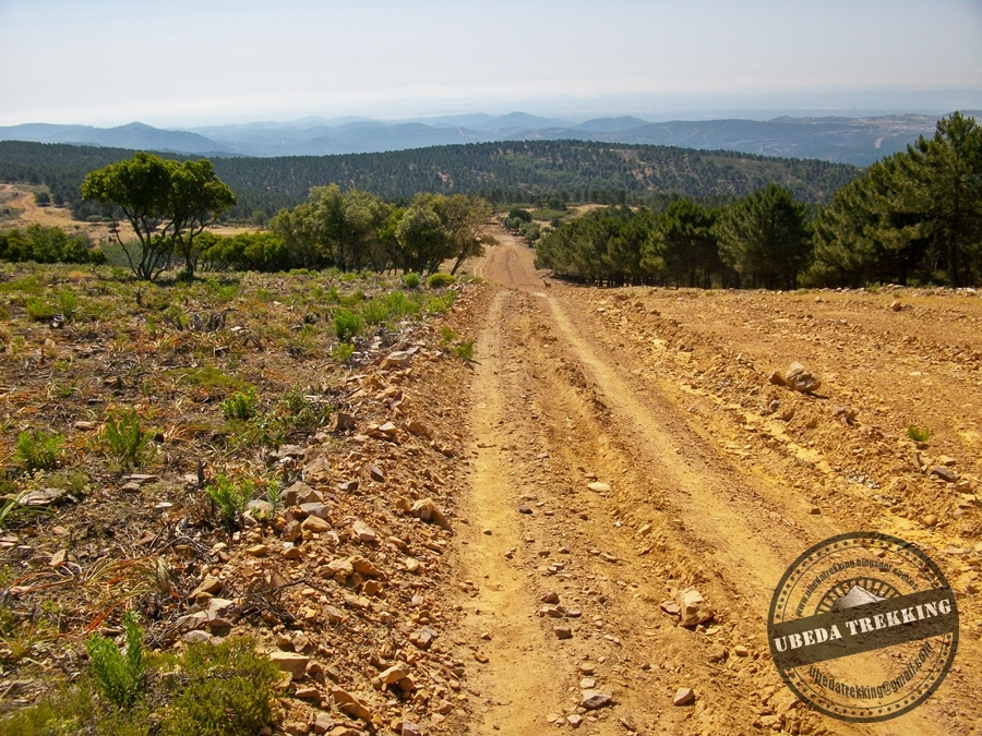 ÚBEDATREKKING : RUTA 075 - (OT) - MIRANDA DEL REY, PICO ESTRELLA ...