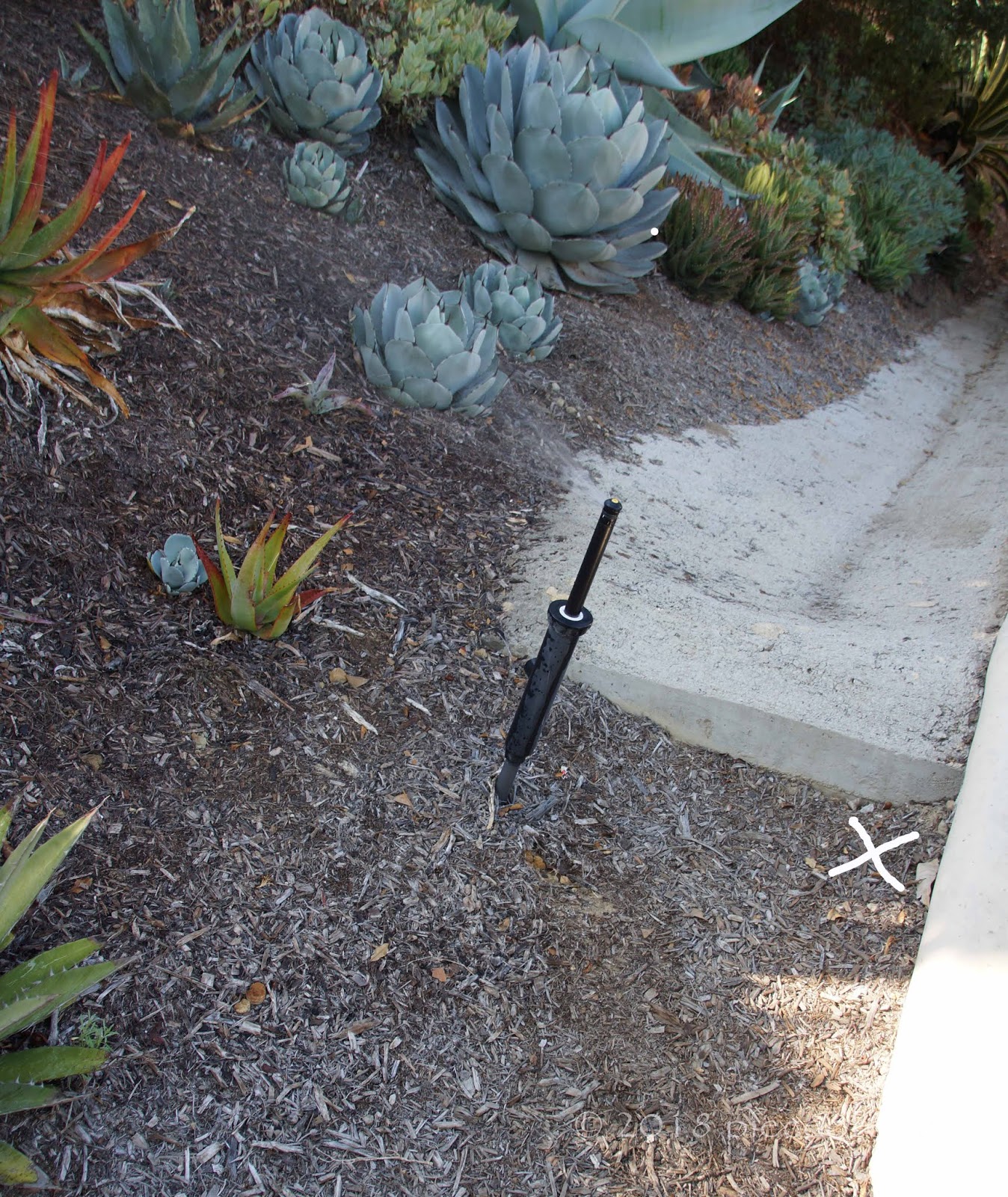 Sprinklmate Sprinkler Shield