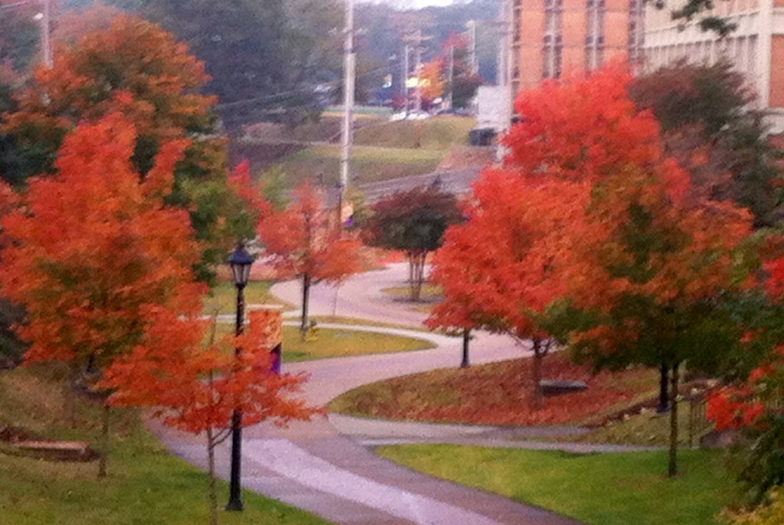 University of North Alabama fall color