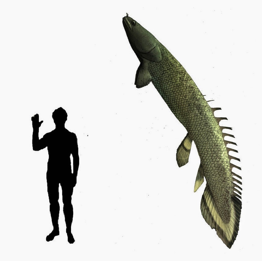 Some species that have never been suggested New species! - Page 22 ...