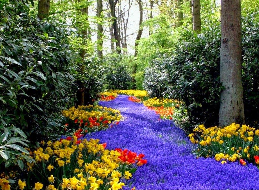 TERRY'S SPA, BEAUTY AND WELLNESS GO-TO: SPRING LIFESTYLE TRANSITIONING TIPS