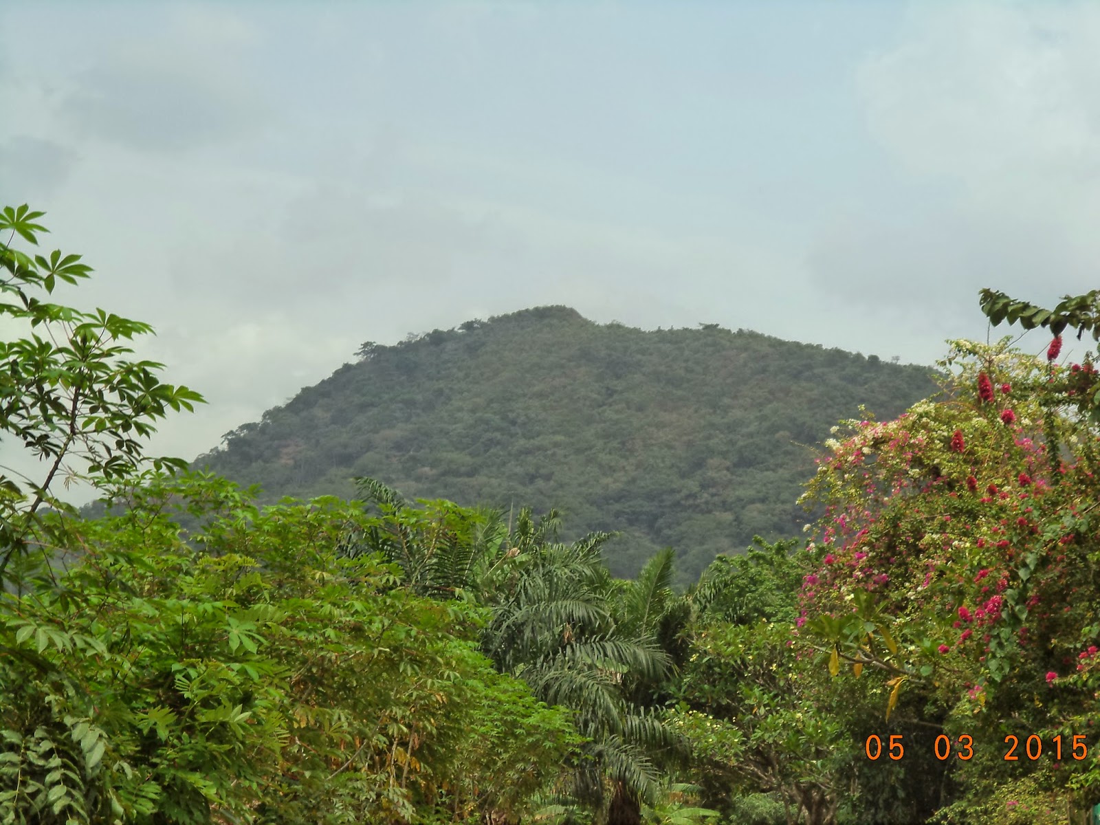 Simon's Geographic Blog of Places: Mt. Afadja 'To'