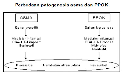 PENYAKIT PARU OBSTRUKTIF KRONIK (PPOK) : Definisi, Gejala, Pengobatan ...