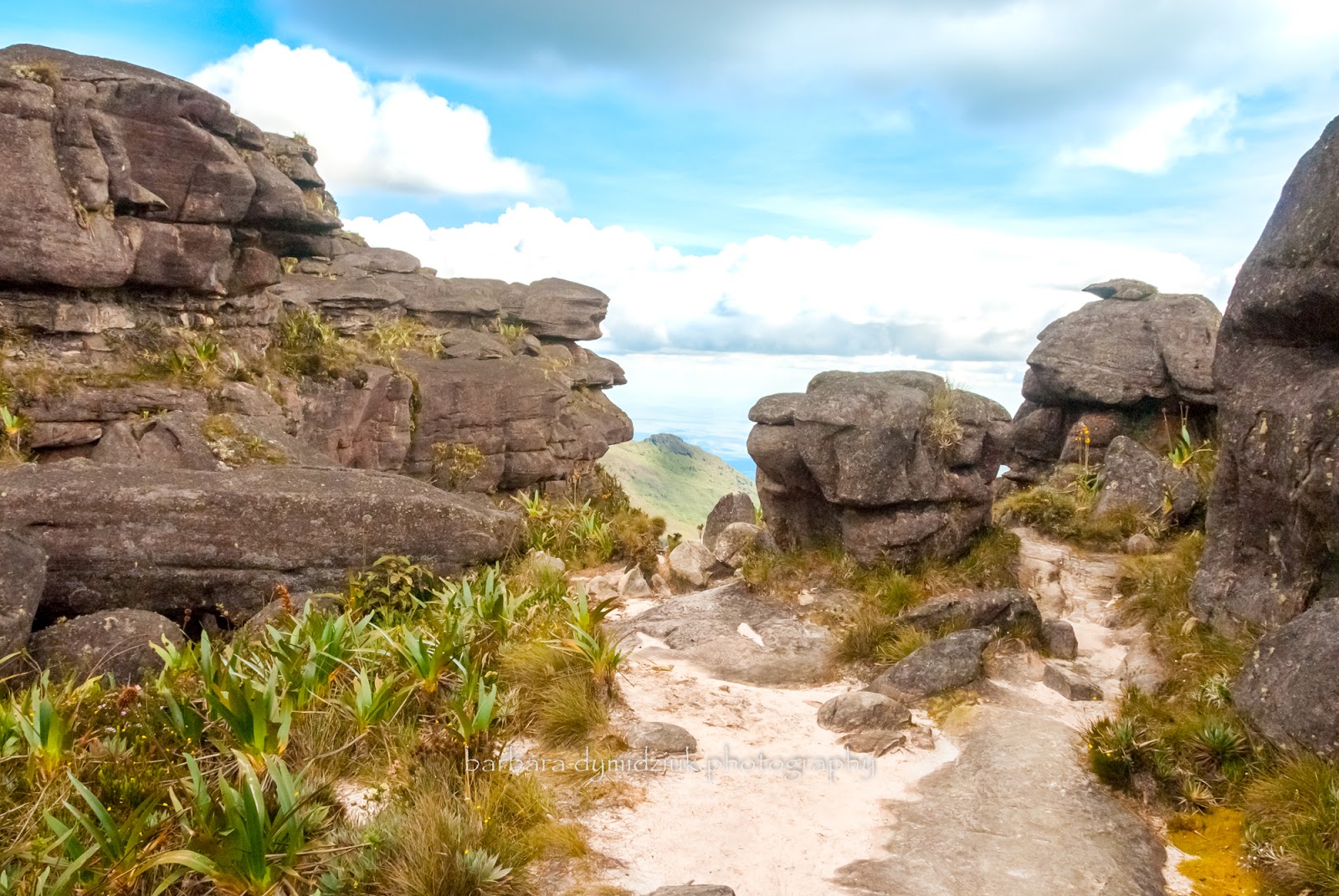 barbara dymidziuk photography: Wenezuela / Venezuela