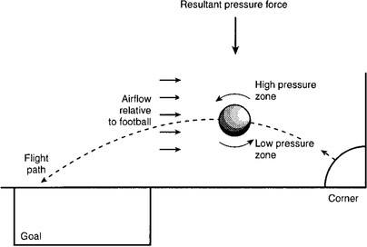 What are the optimal biomechanics of an AFL drop punt and check side ...