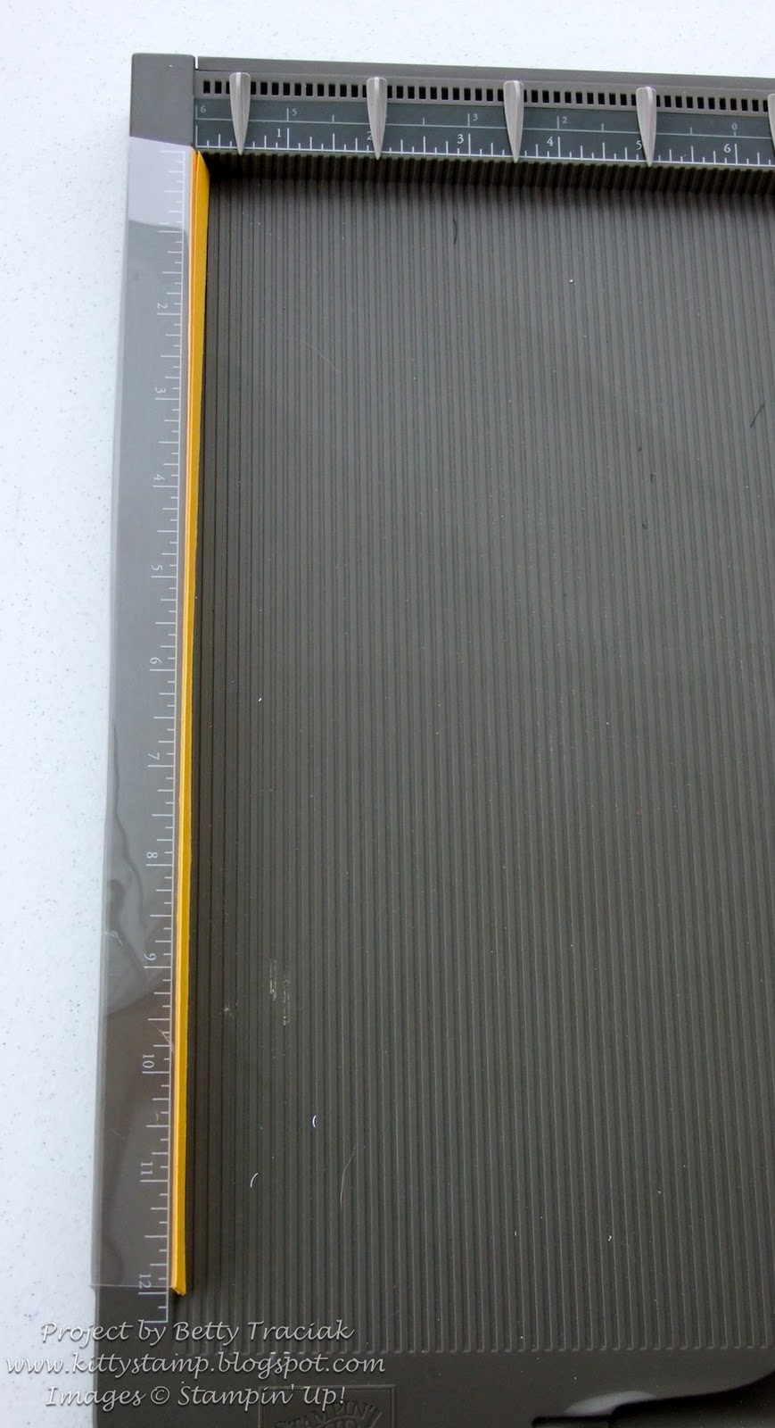 Kitty Stamp: Fresh Vintage Blog Hop Projects