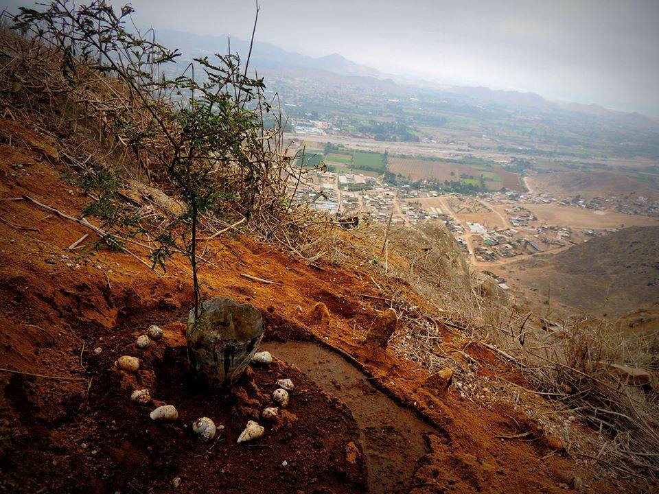 COMANDO ECOLOGICO PERU: Campaña Adopta un Huarango