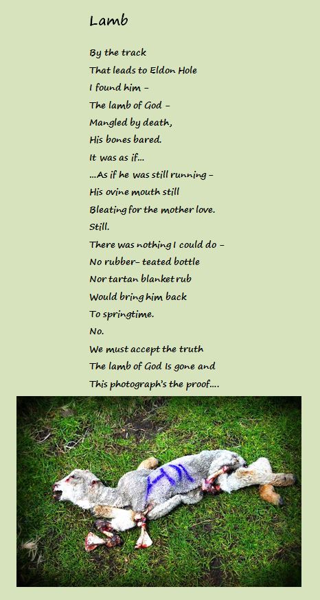 Yorkshire Pudding: Poem