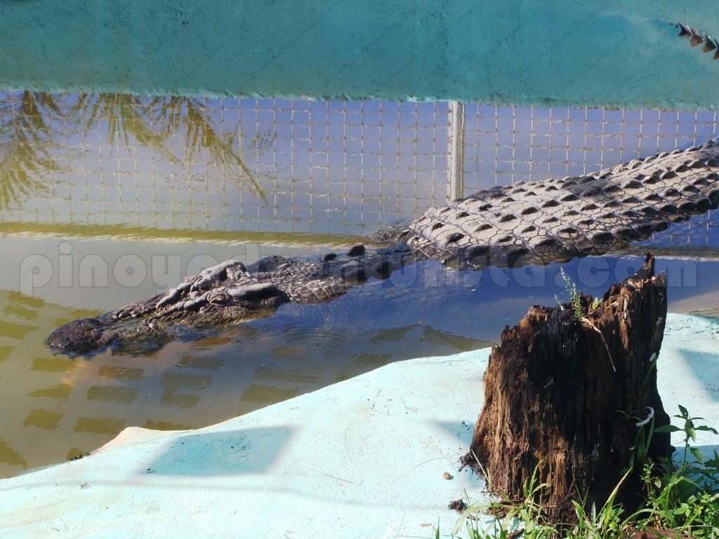 Travel Guide : Butuan City (Agusan del Norte) and Bunawan (Agusan del ...